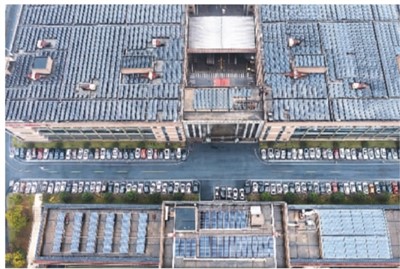 绿色工厂“绿”意盎然 - 聚焦 - 东南网