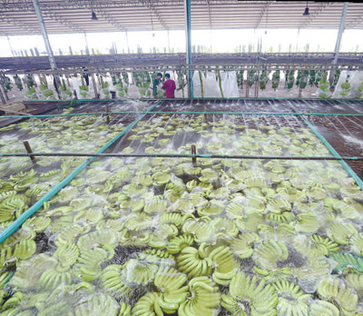 《区域全面经济伙伴关系协定》对十五个成员国全面生效——为区域经济一体化注入强劲动力 - 聚焦 - 东南网