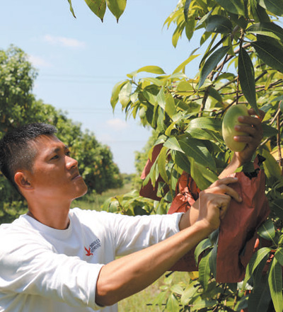 《区域全面经济伙伴关系协定》对十五个成员国全面生效——为区域经济一体化注入强劲动力 - 聚焦 - 东南网